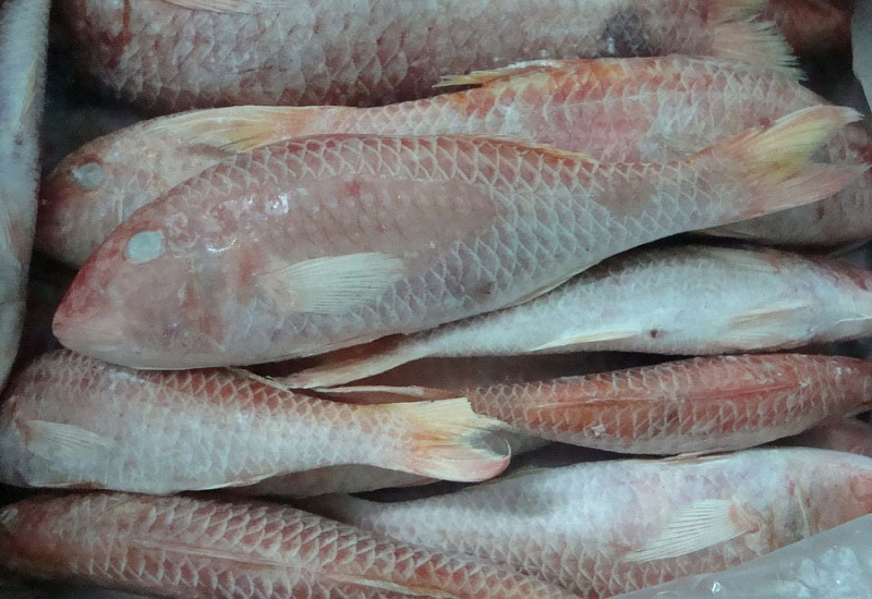 GOAT FISH – VINH PHAT FOOD JSC