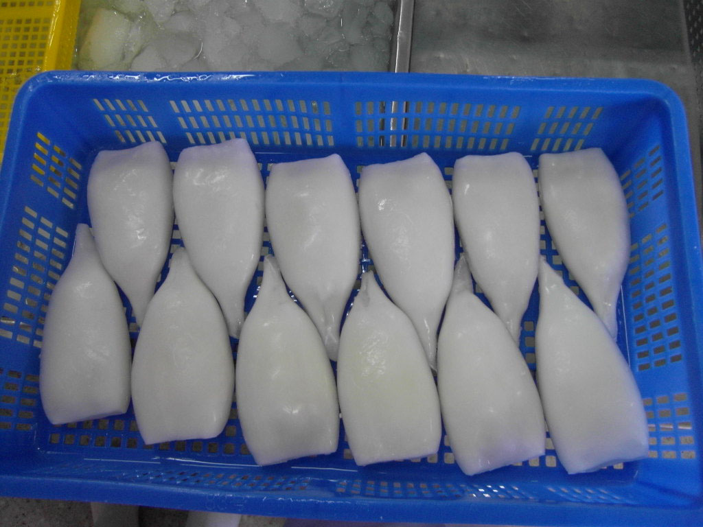 SQUID TUBE – VINH PHAT FOOD JSC