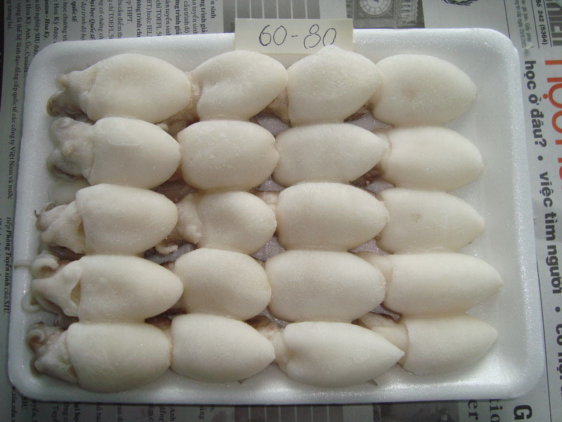 WHOLE CUTTLEFISH – VINH PHAT FOOD JSC