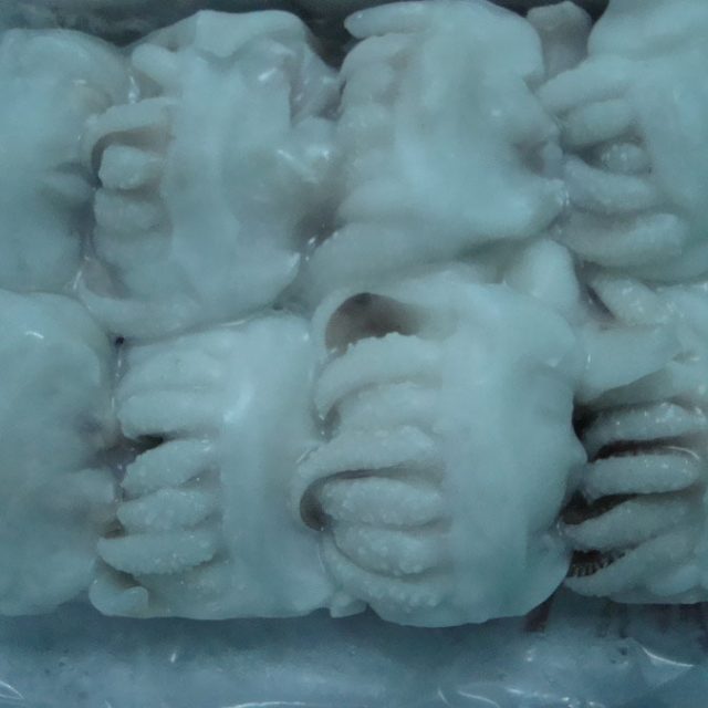 CUTTLEFISH – VINH PHAT FOOD JSC