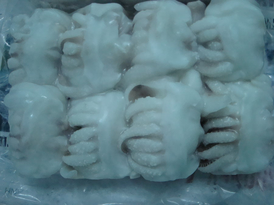 CUTTLEFISH TENTACLE – VINH PHAT FOOD JSC
